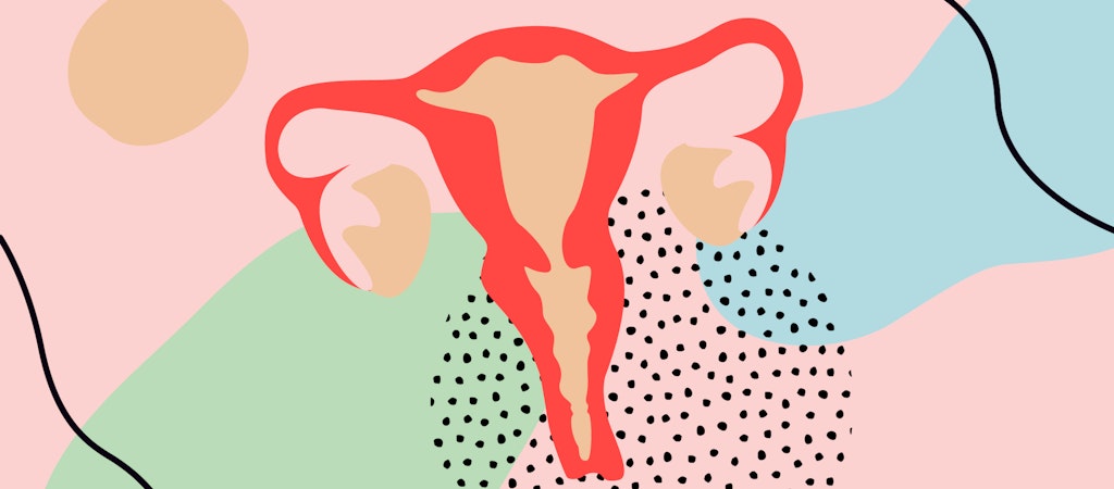 Anatomy 101: An Intimate Look at the Female Body - Nurx™