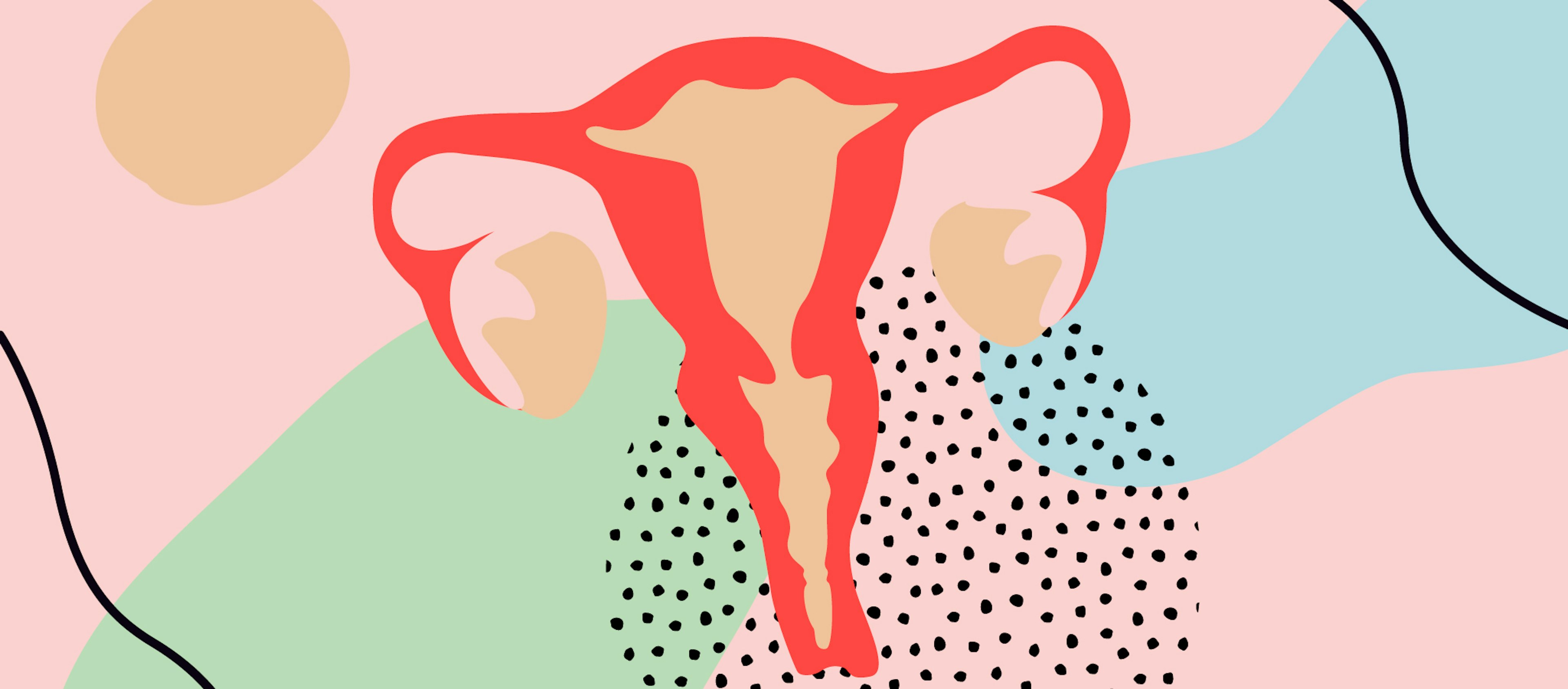 Anatomy 101: An Intimate Look at the Female Body - Nurx™