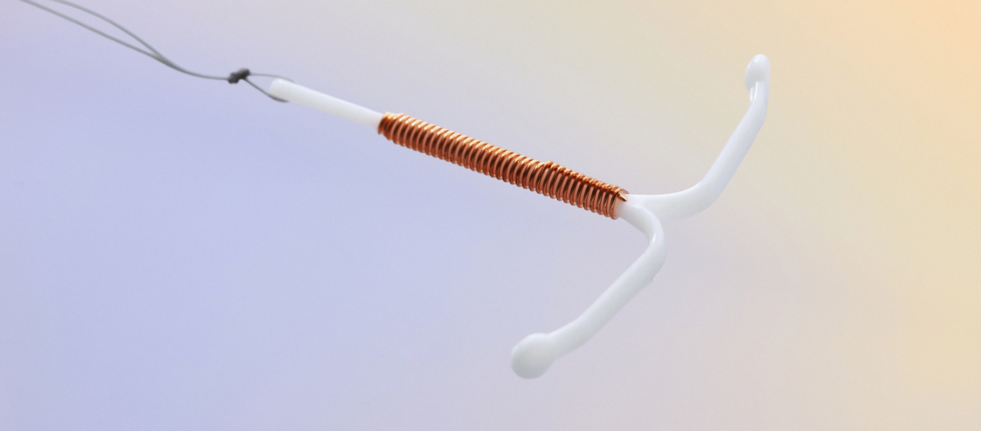 How Does an IUD Work to Prevent Pregnancy? | Nurx